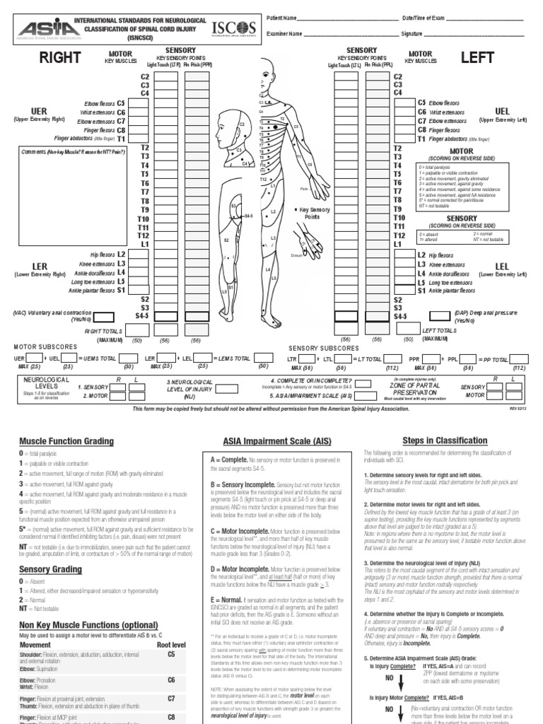 International Standards for Neurological Classification of Spinal Cord Injury (ISNCSCI): A ...