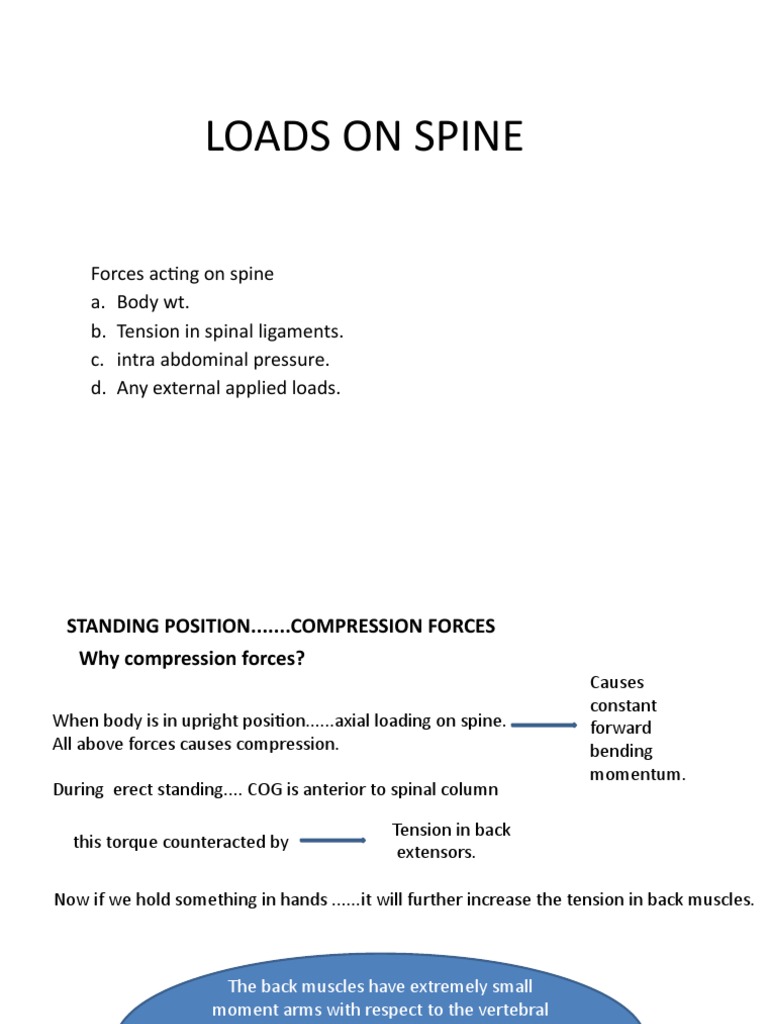 Loads On Spine Updated | PDF | Vertebral Column | Anatomical Terms Of ...
