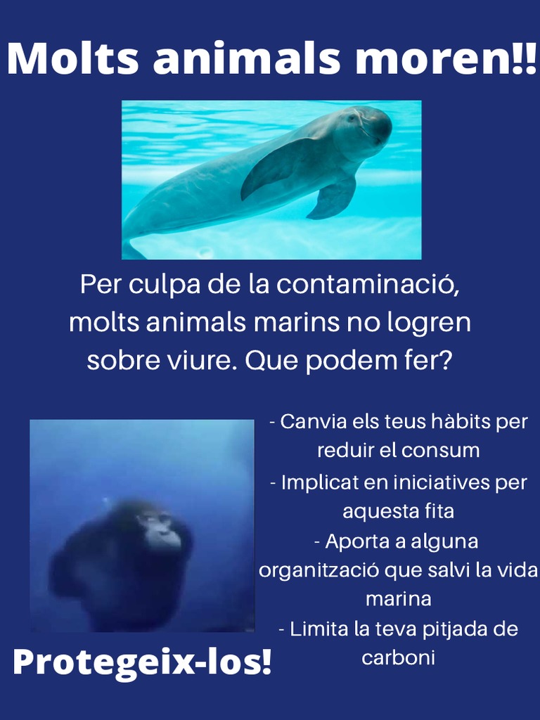 Molts Animals Moren!! | PDF