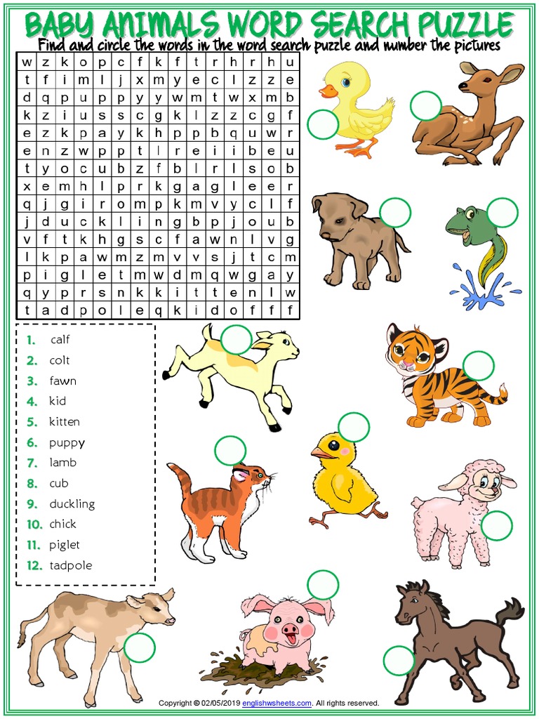 Baby Animals Vocabulary Esl Word Search Puzzle Worksheet For Kids | PDF