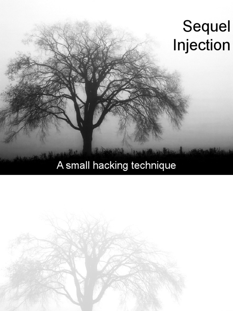 Sequel Injection | PDF