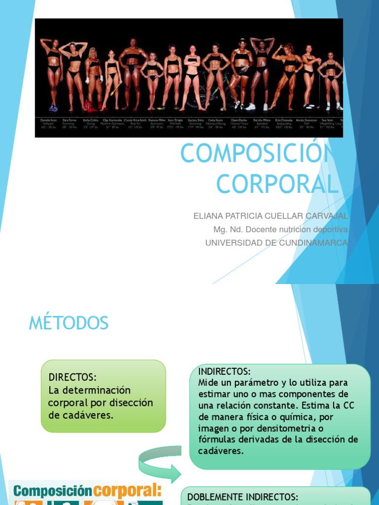Presentacion Composicion Corporal | PDF | Tejido adiposo | Lípido