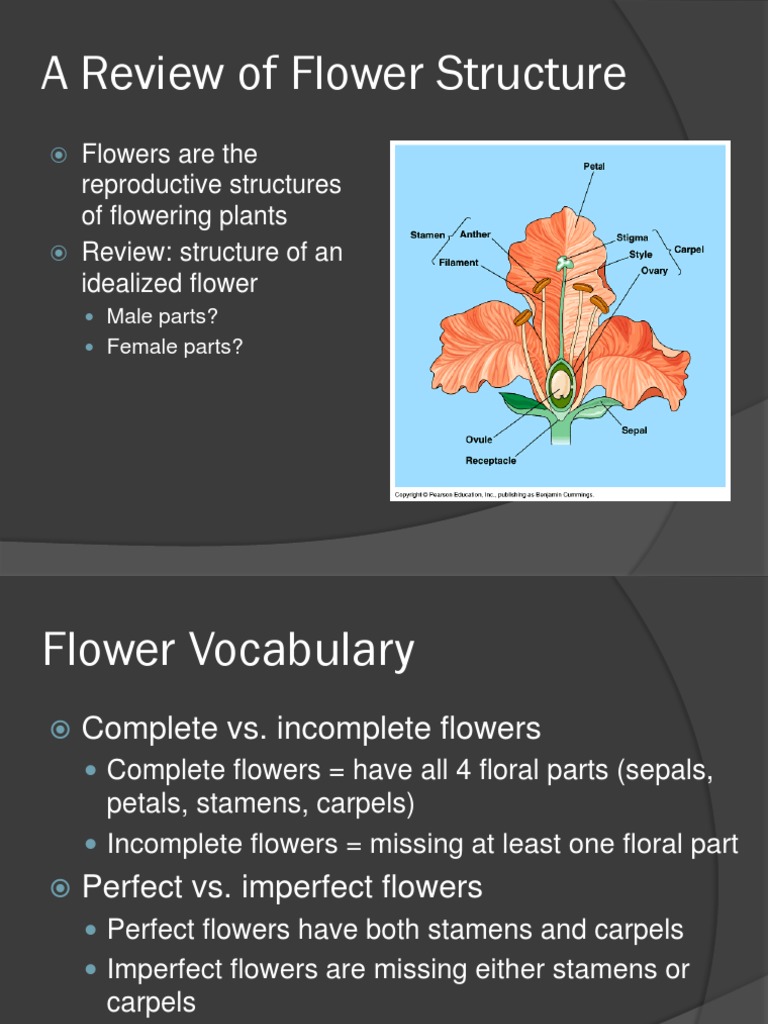 Pertumbuhan Dan Perkembangan Bunga | PDF