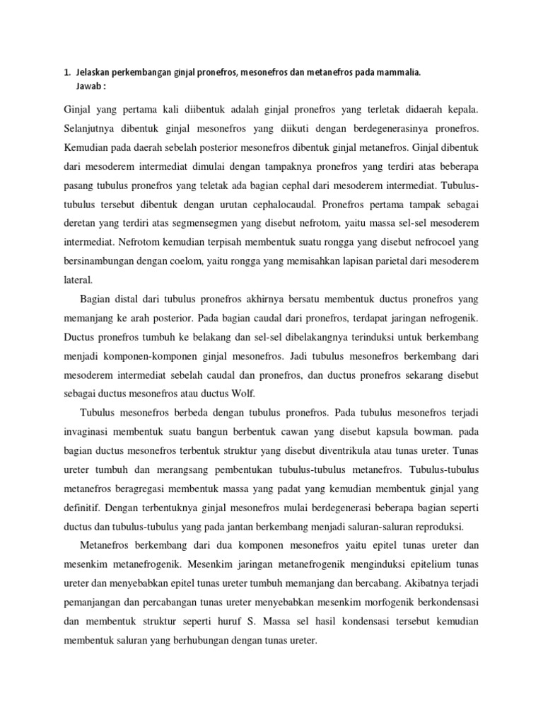 Tugas 5 - Awanda Ayu Hanifah | PDF