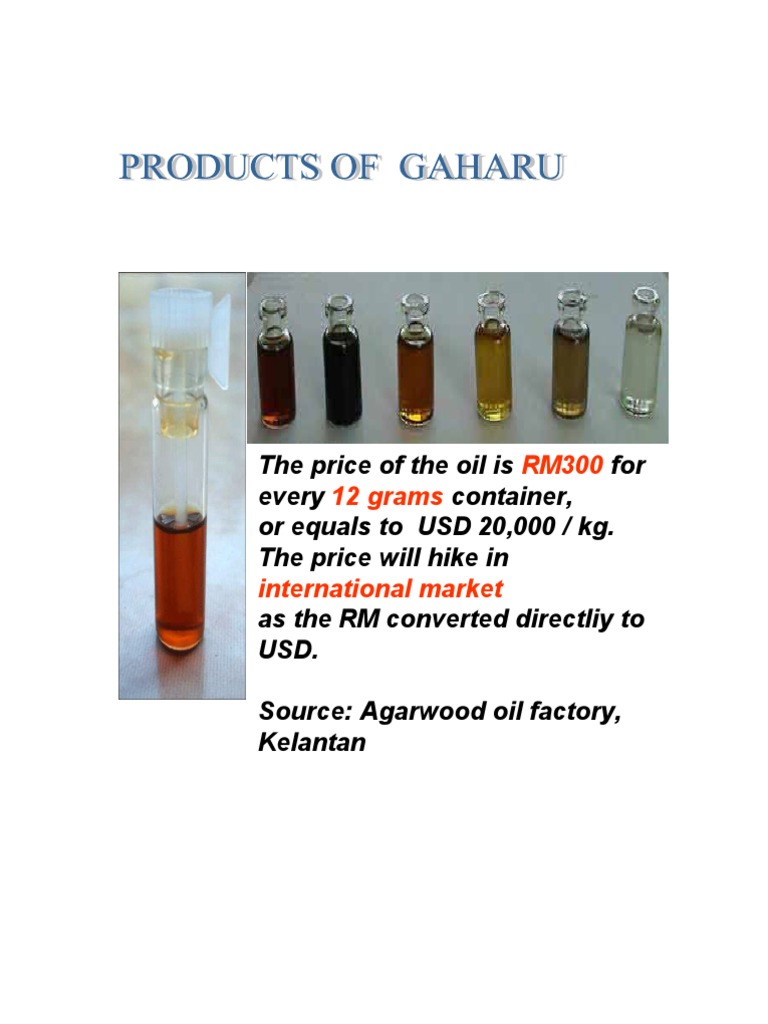 Gaharu Oil Extraction | PDF