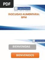 BPM Check List SEREMI | PDF