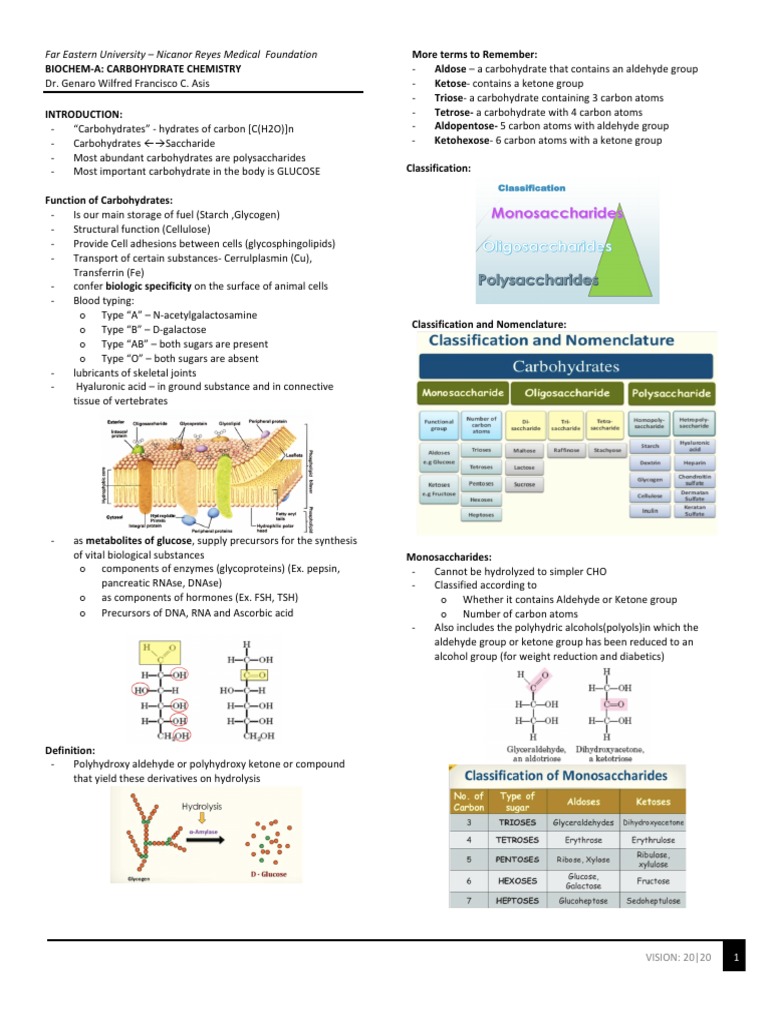 Medical Biochemistry: Carbohydrates | PDF | Carbohydrates | Glucose