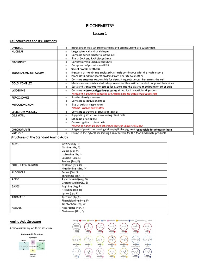 BIOCHEMISTRY Lecture Notes | PDF | Protein Structure | Enzyme