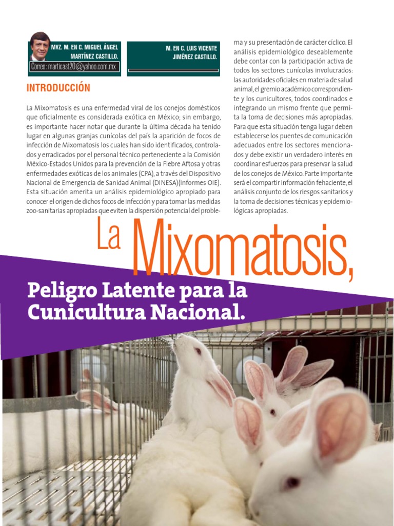 Mixomatosis Cunicultura | PDF | Virus | Vacunas