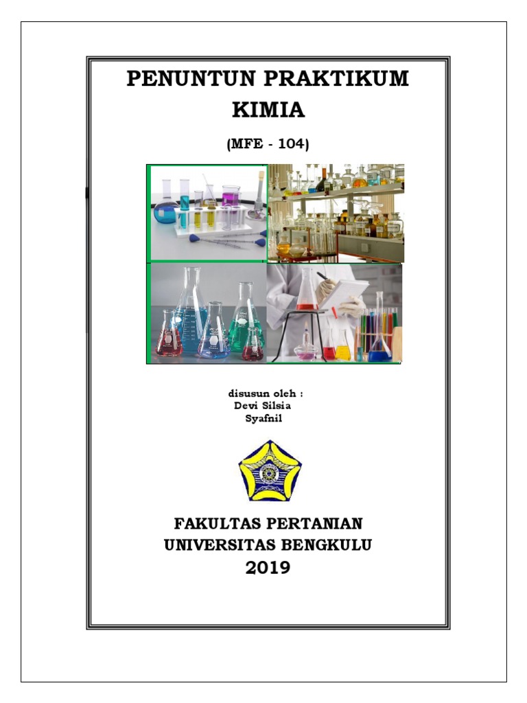 Penuntun Praktikum Kimia | PDF