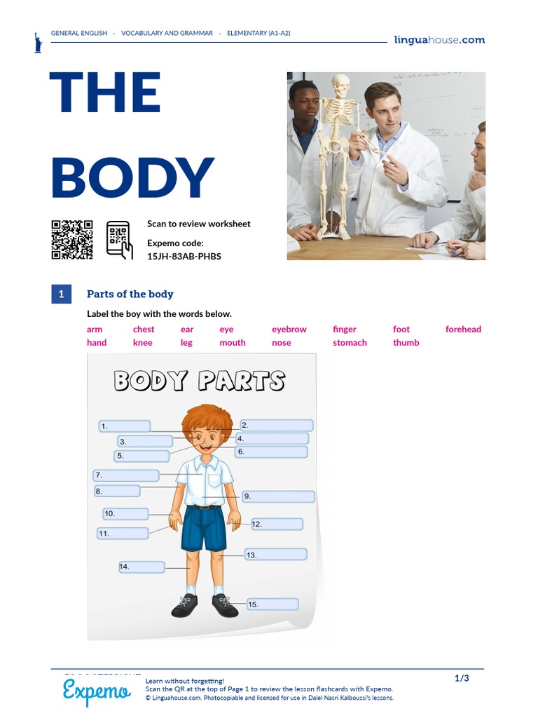 The Body American English Student Ver2 | Download grátis PDF | Linguistic Typology | Language ...