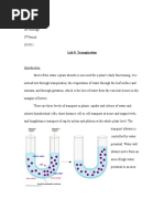 Understanding Compensation Point in Plants | PDF | Photosynthesis ...