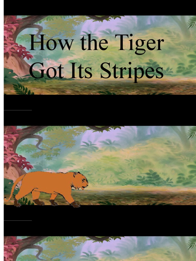 How the Tiger Got Its Stripes Story | PDF | Home & Garden