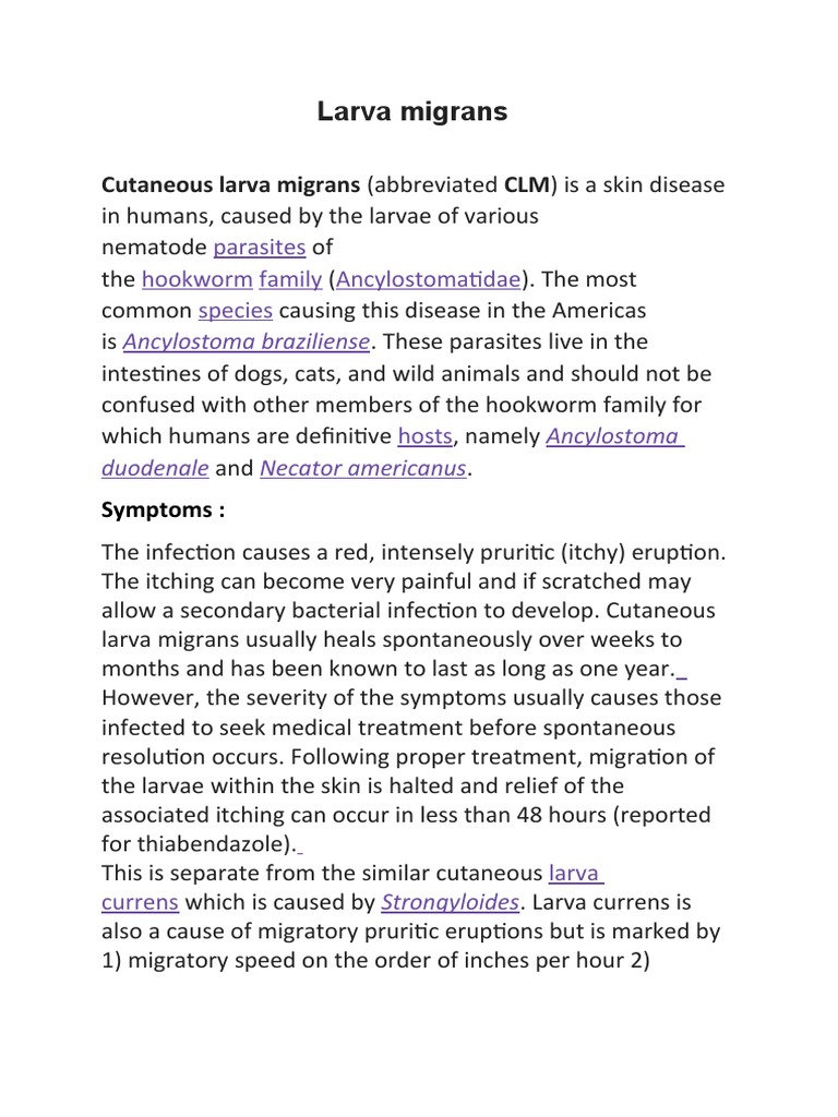 Larva Migrans: Cutaneous Larva Migrans (Abbreviated CLM) Is A Skin ...