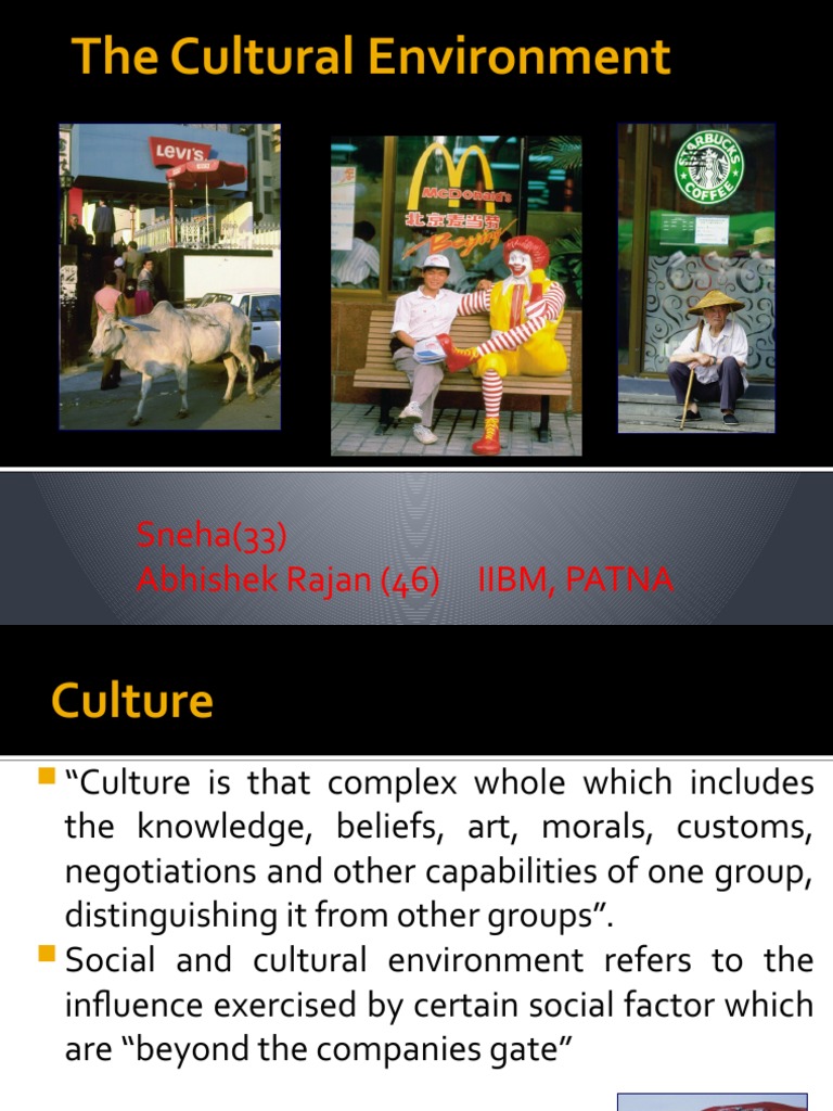 The Cultural Environment | PDF | Communication | Norm (Social)