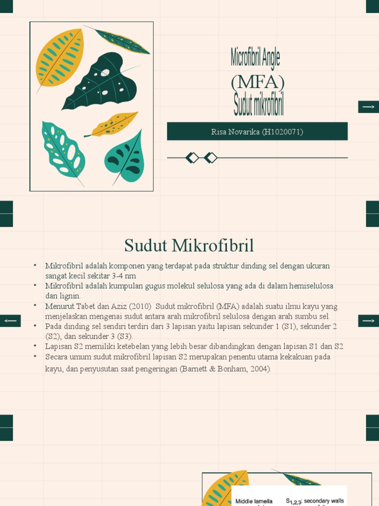 Mikrofibril: Struktur dan Fungsi | PDF