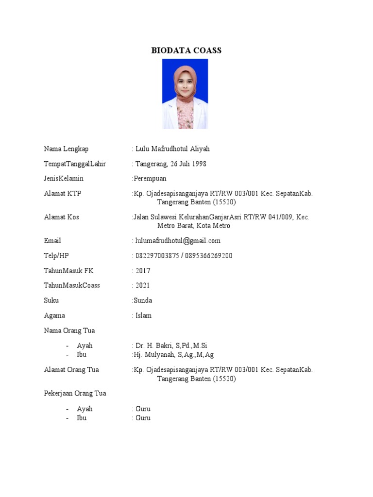 CV Lulu M. Aliyah | PDF