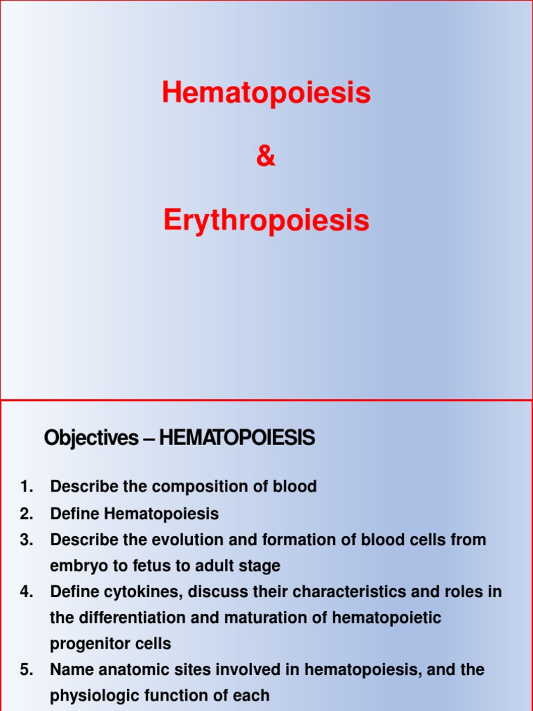 LECTURE 2 - HEMATOPOIESIS and ERYTHROPOIESIS - 10 - 17 - 2020 | PDF ...