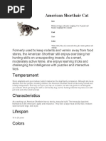 7 Important Things To Know Before Owning A Corgi Pdf