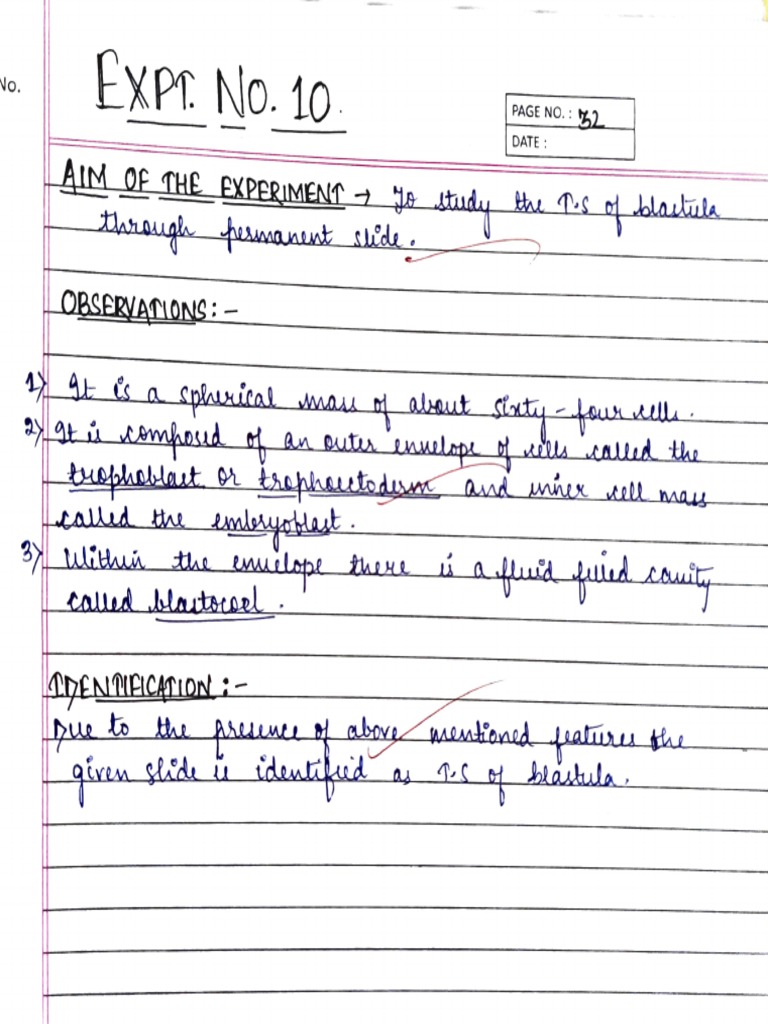 EXPT No. 10: Experiment Dslaulula. Cbservatlons Alaut | PDF