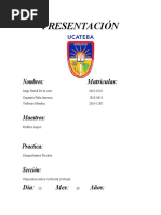 Paso A Paso para Consultar NCF y E NCF | PDF | Finanzas y dinero ...