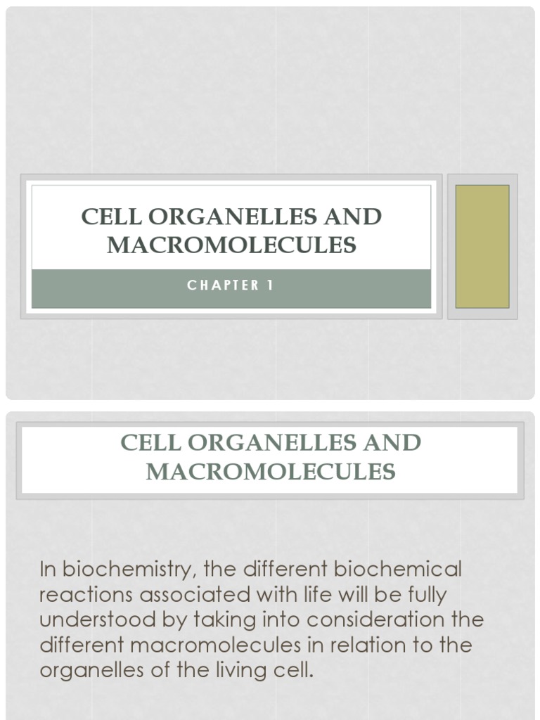 Chapter 1 CELL ORGANELLES AND MACROMOLECULES | Download Free PDF | Ph ...