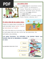 Ficha Ciclo de Vida de Los Animales | PDF