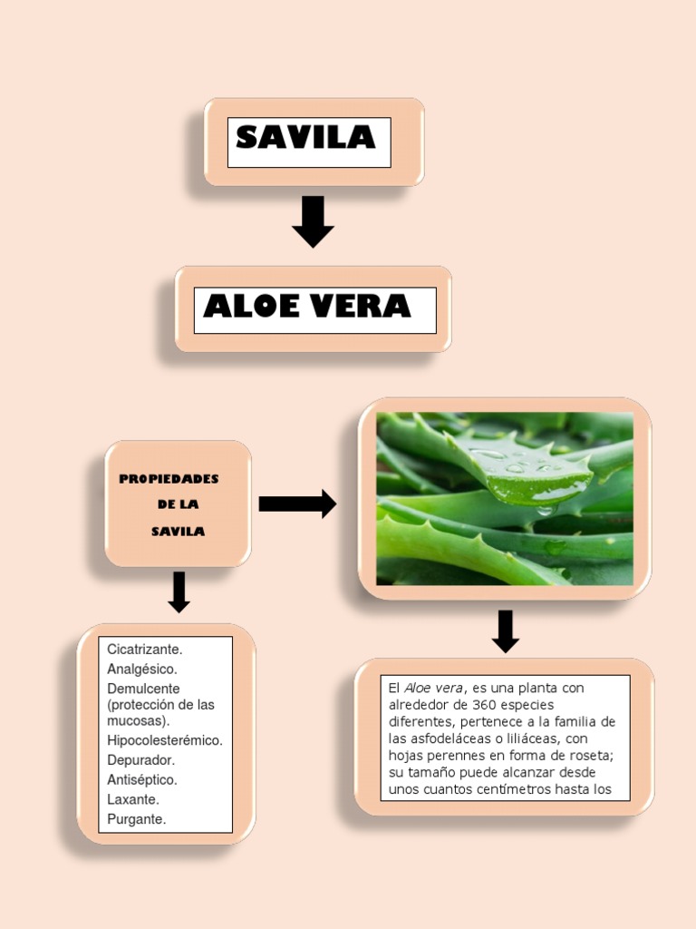 SAVILA | PDF | Vitamina