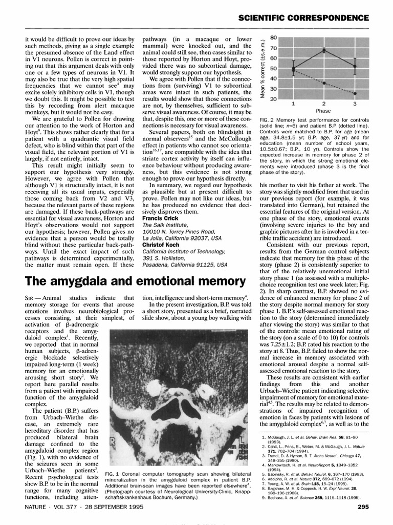 Cahill - Amygdala | PDF