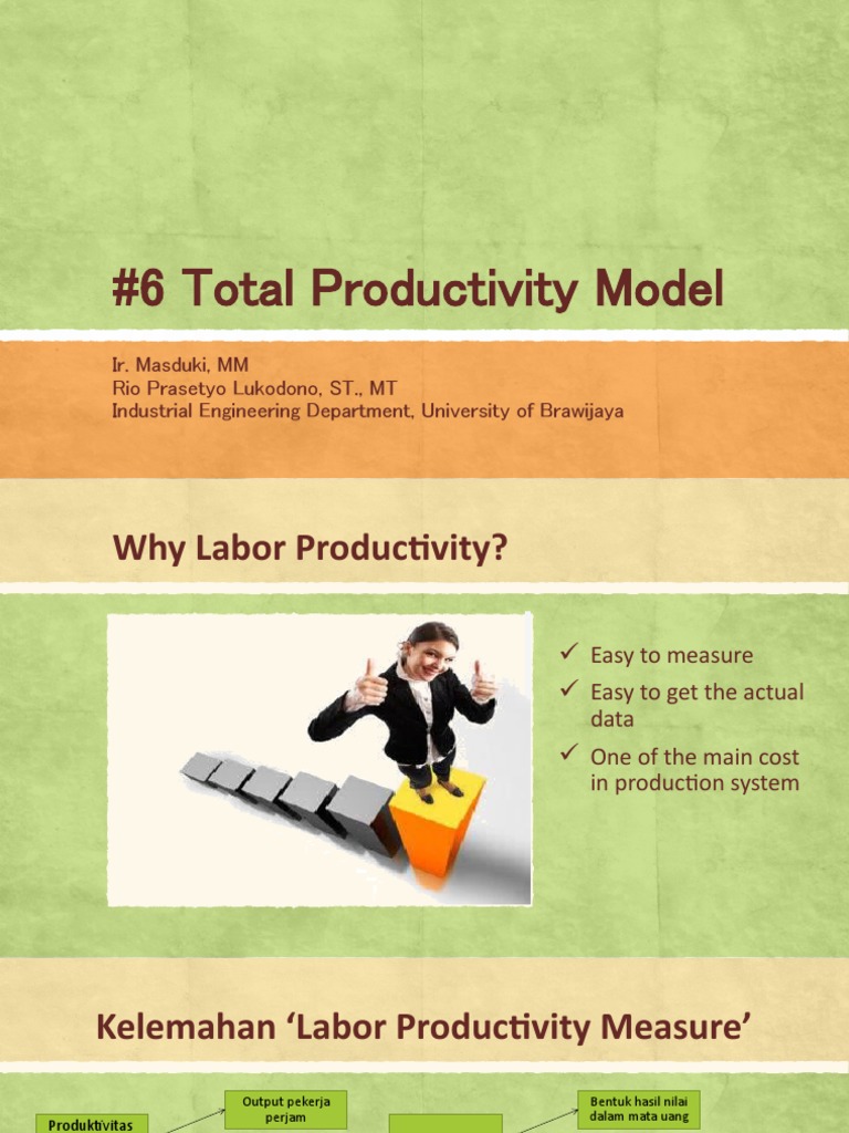 P6 - Anprod - Total Productivity Model | PDF