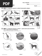 BugsTeam3 Unit 6 PB Worksheet Standard | PDF
