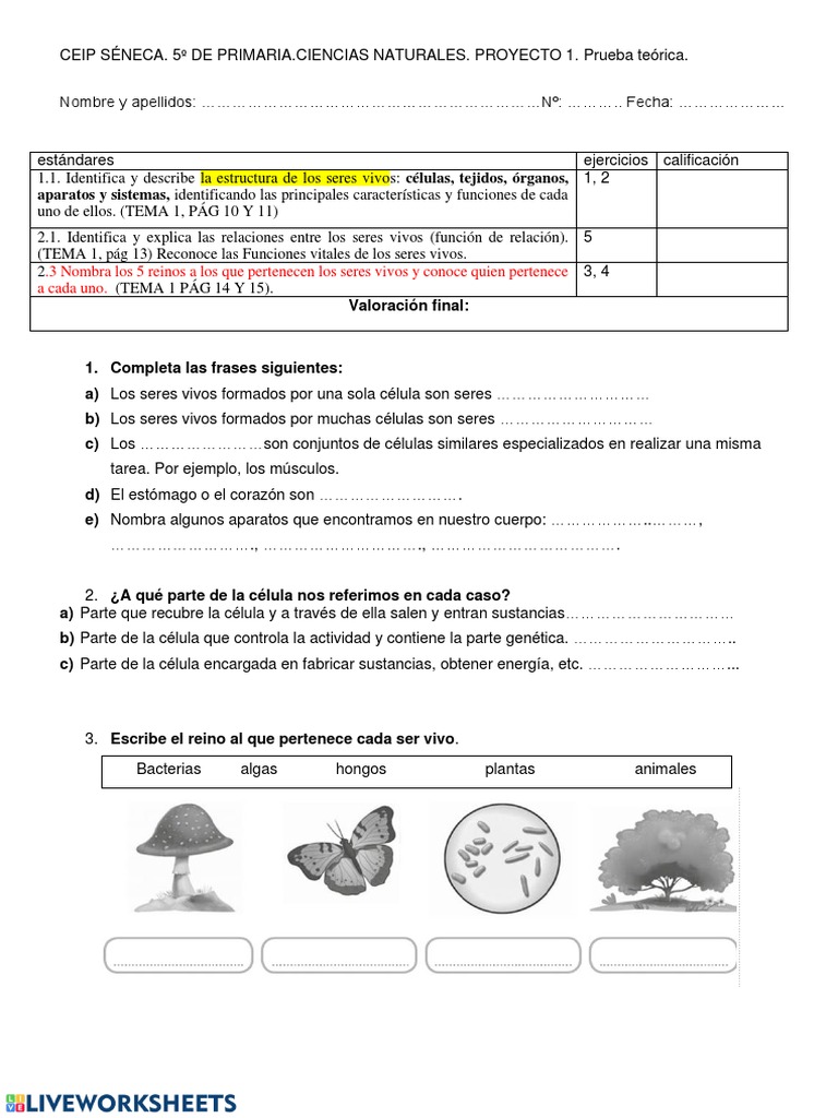 Prueba teórica sobre los seres vivos, sus estructuras y funciones | PDF ...