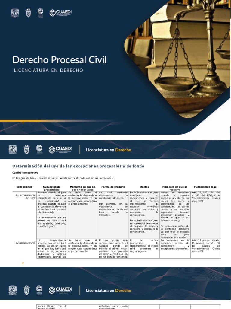 Excepciones Procesales | PDF | Demanda judicial | Sentencia (ley)