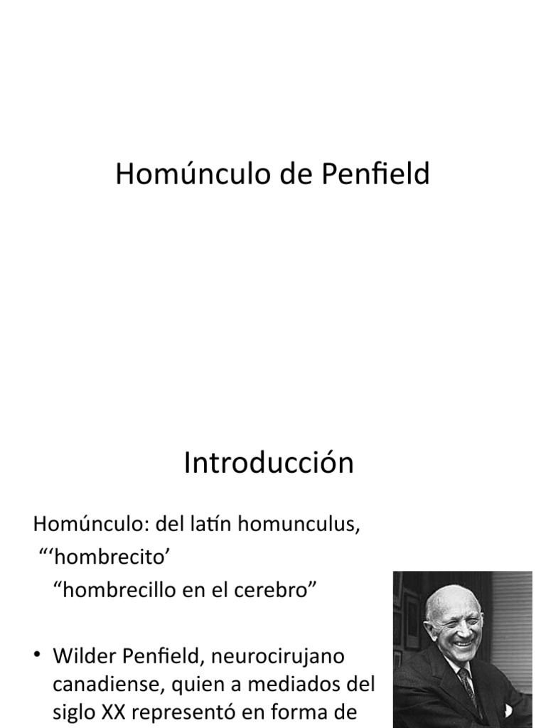 Homunculo de Penfield | PDF | Cerebro | Corteza cerebral