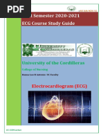 CABG PCS Coding | PDF | Coronary Artery Bypass Surgery | Percutaneous ...