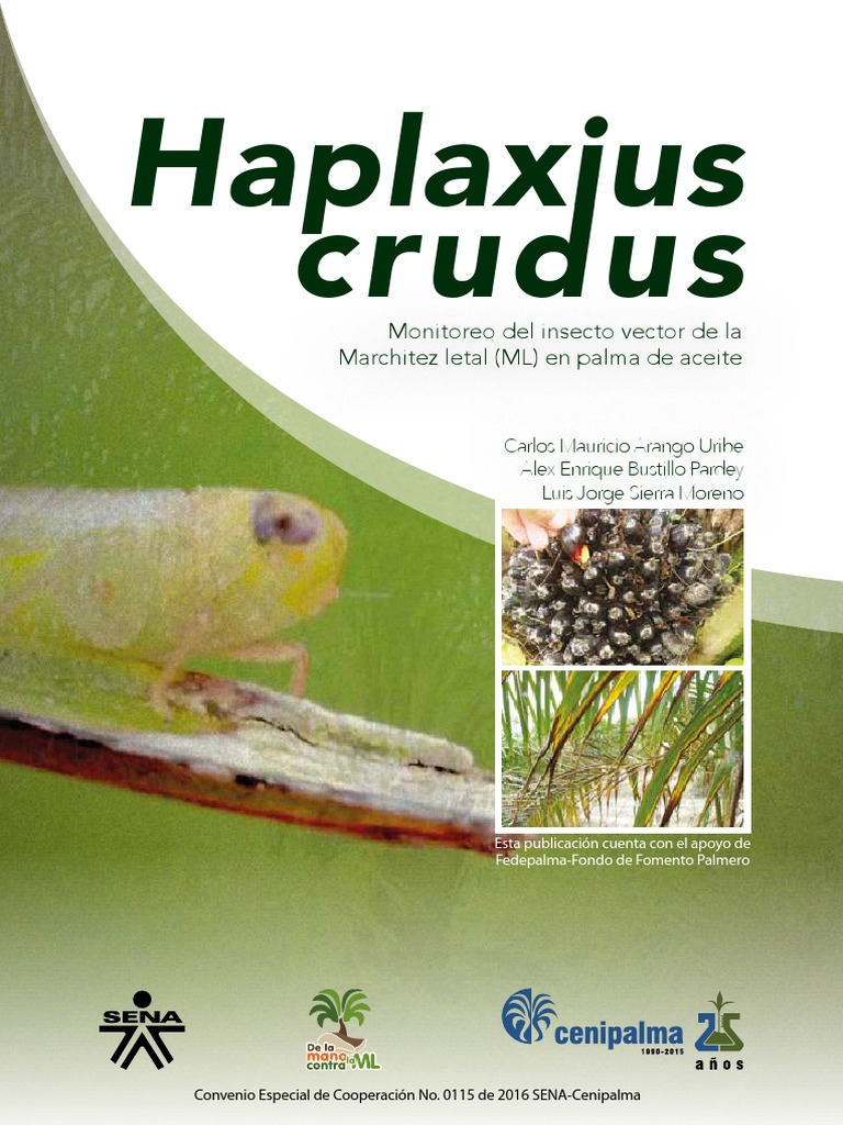 Monitoreo del insecto vector Haplaxius crudus y detección de su ...