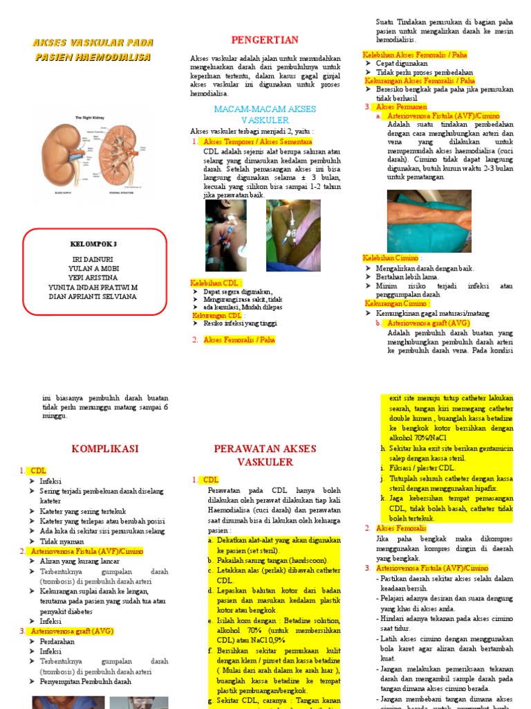Akses Vaskular | PDF