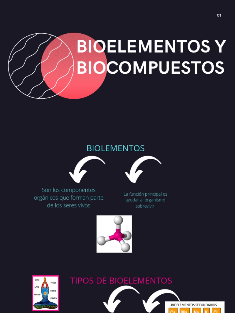 Bioelementos y Biocompuestos | PDF | Biomoléculas | Carbohidratos