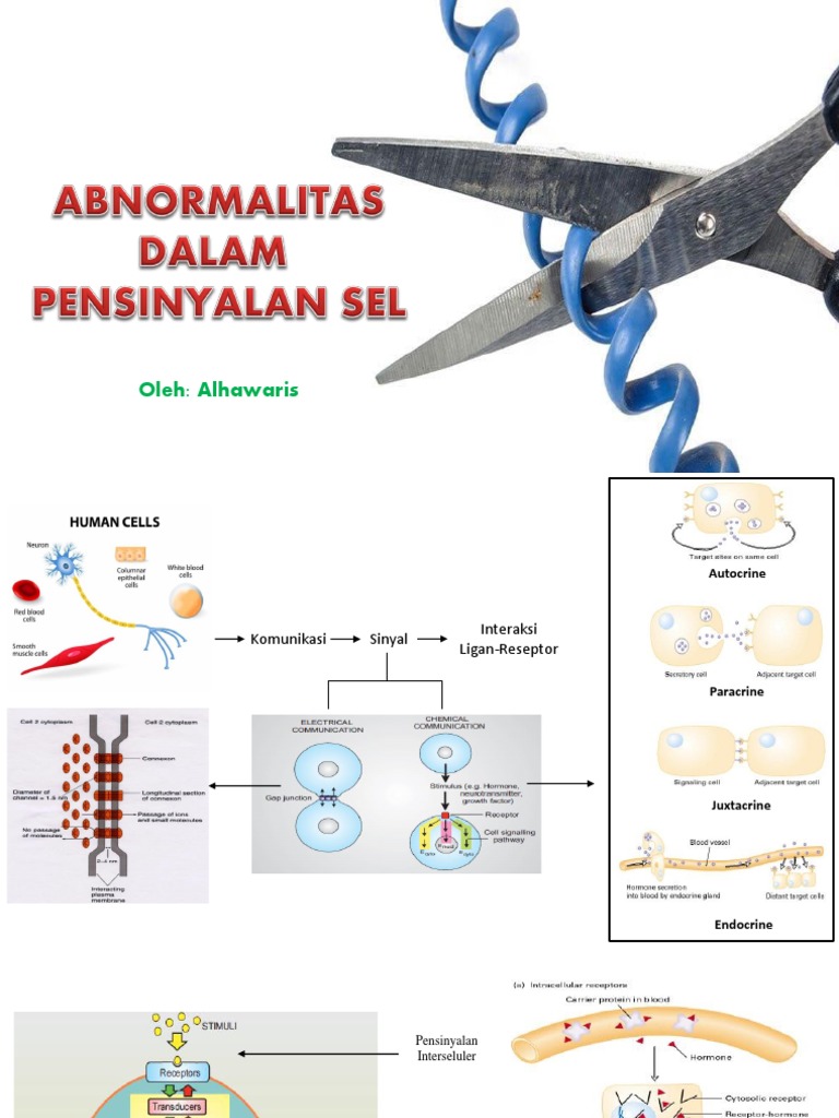 Abnormalitas Dalam Pensinyalan Sel | PDF