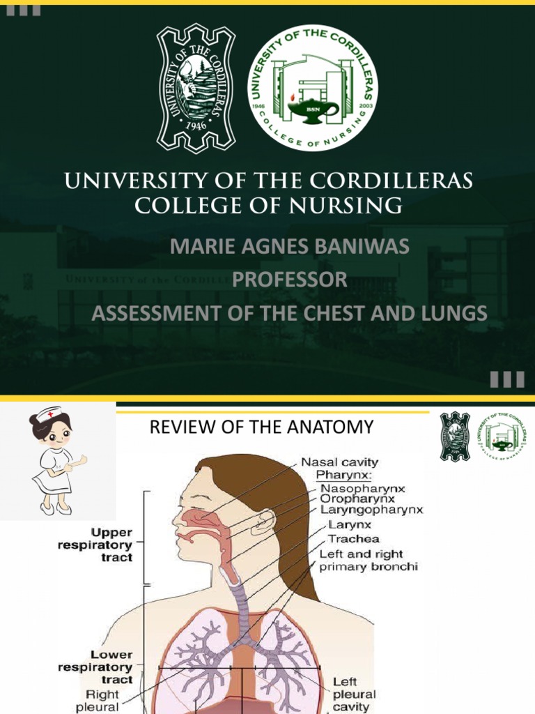 Assessment of Chest and Lungs | PDF | Lung | Thorax