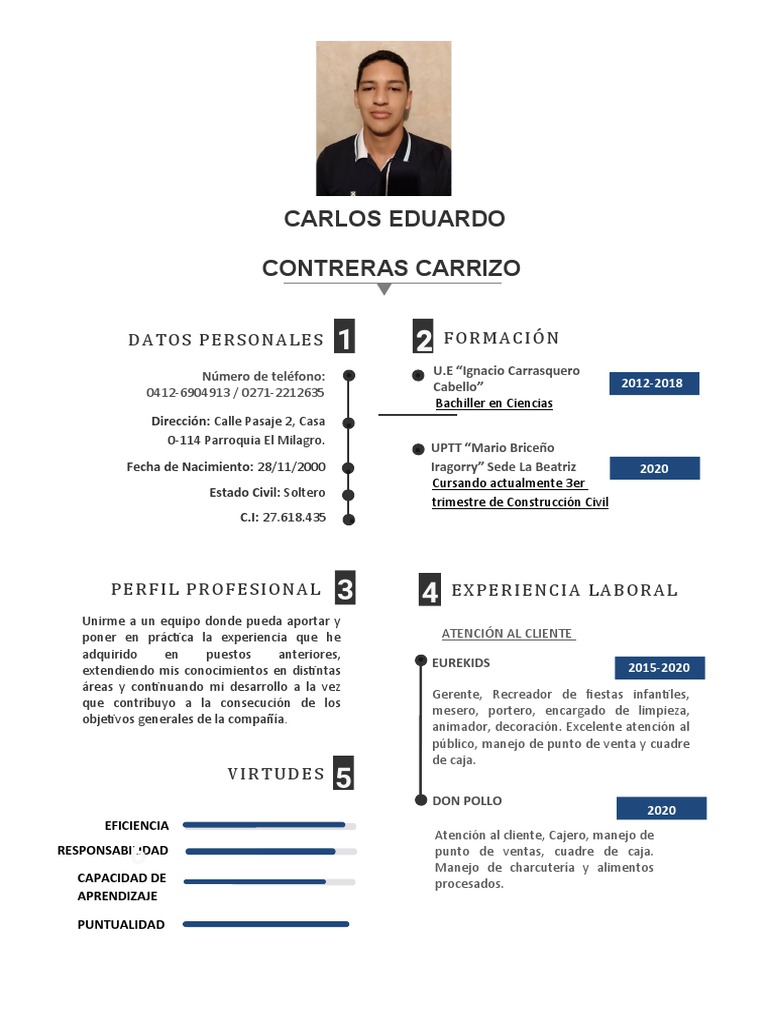 Curriculum Carlos Contreras | PDF