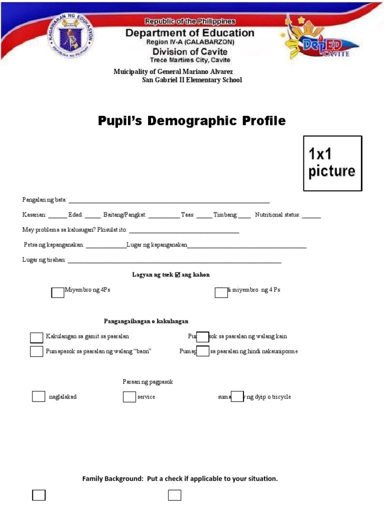 Pupil's Profile | PDF