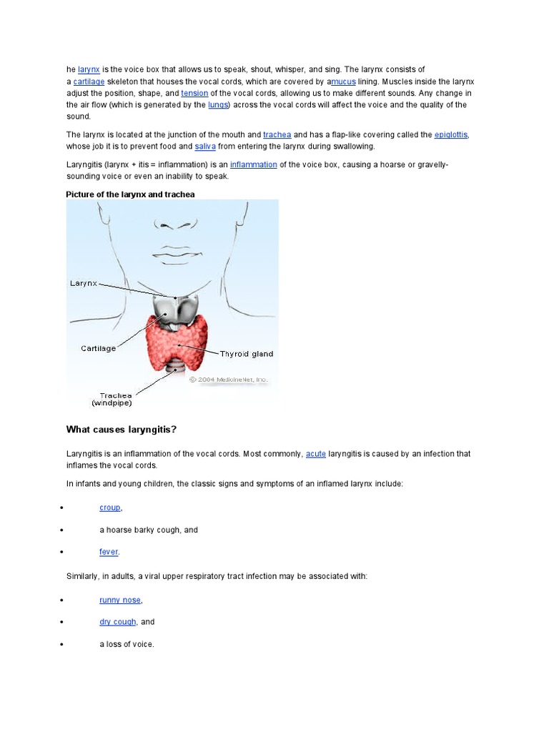 Understanding Laryngitis and Its Causes | PDF | Human Diseases And ...