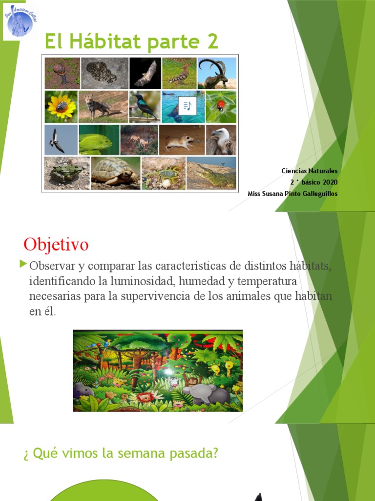 Ciencias Naturales Tipos de Habitats 2 Basico | PDF | Habitat | Mar