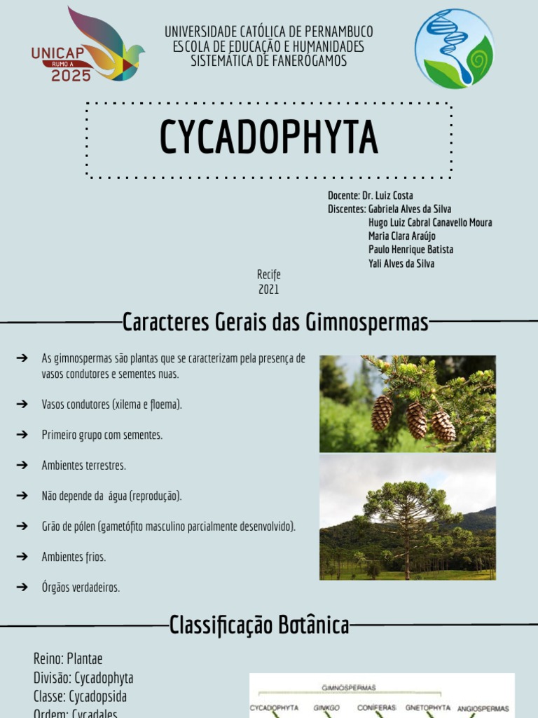 CYCADOPHYTA | PDF | Plantas | Botânica