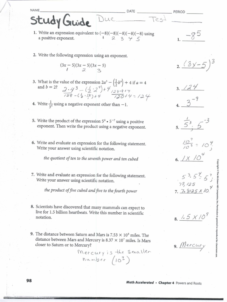 PA Ch.4 Key Study Guide | PDF