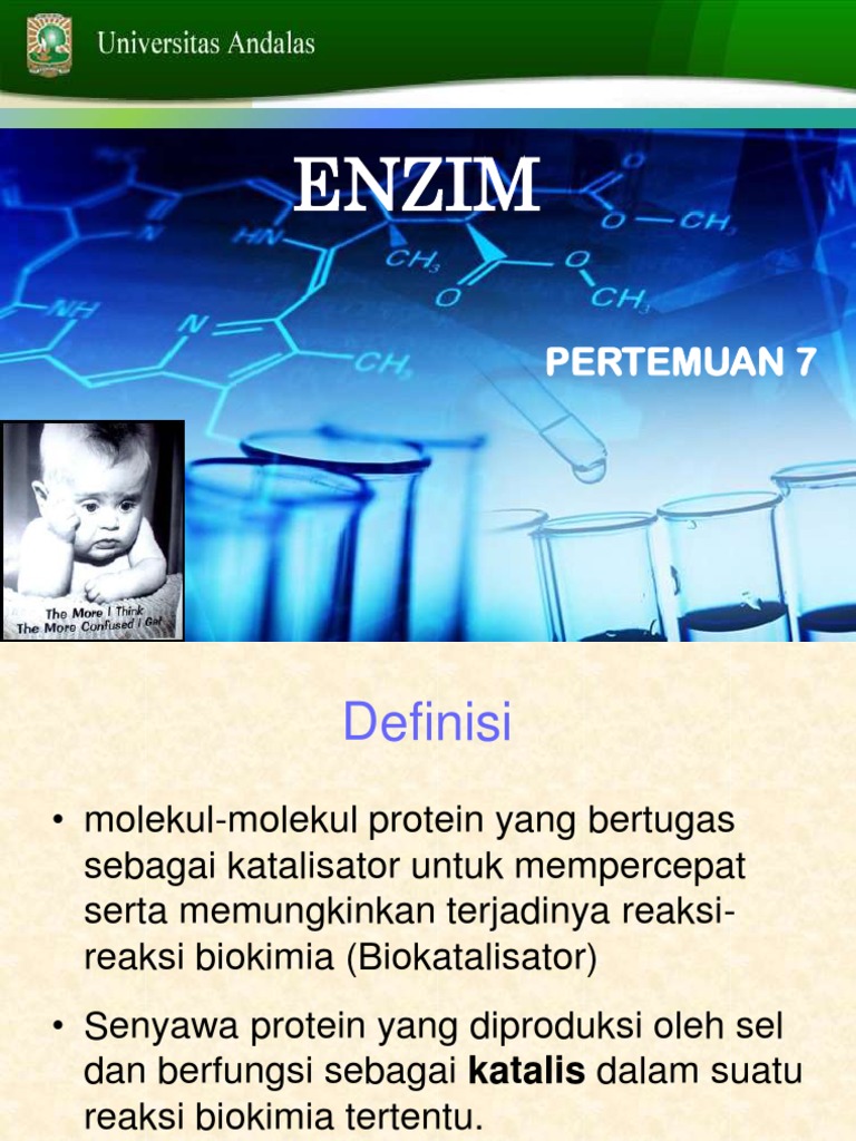 Enzim | PDF