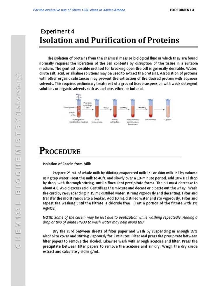 Isolation and Purification of Proteins: Experiment 4 | PDF | Filtration ...