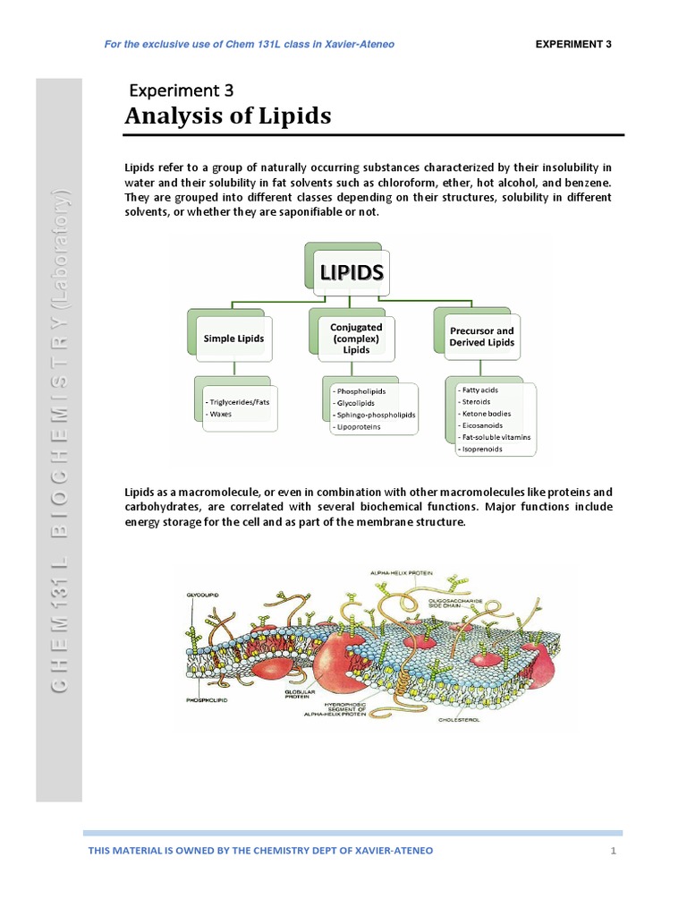 Analysis of Lipids Experiment | PDF | Solubility | Solution