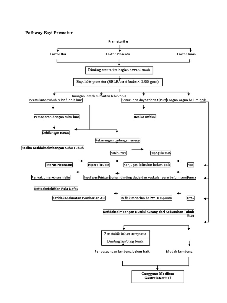 Pathway Prematur Ayu Putri P. | PDF